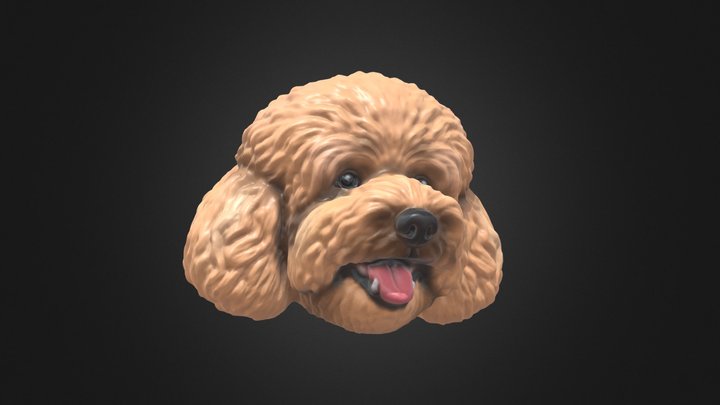 Poodle 3D models - Sketchfab