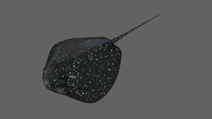 Stingray-fish 3D models - Sketchfab