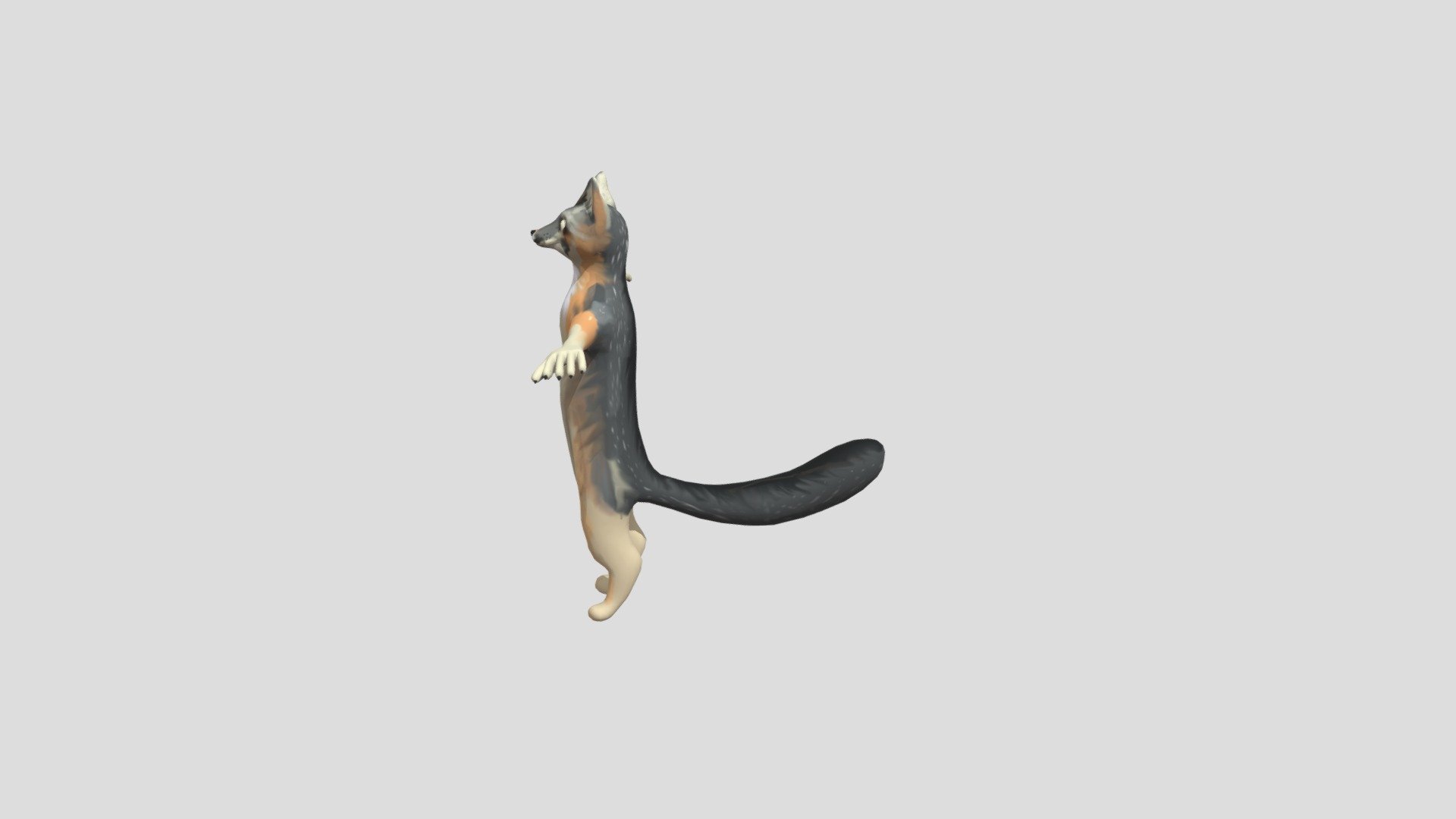 Grey Fox Textured - Download Free 3D model by mhawley1 [9e1d2fc ...