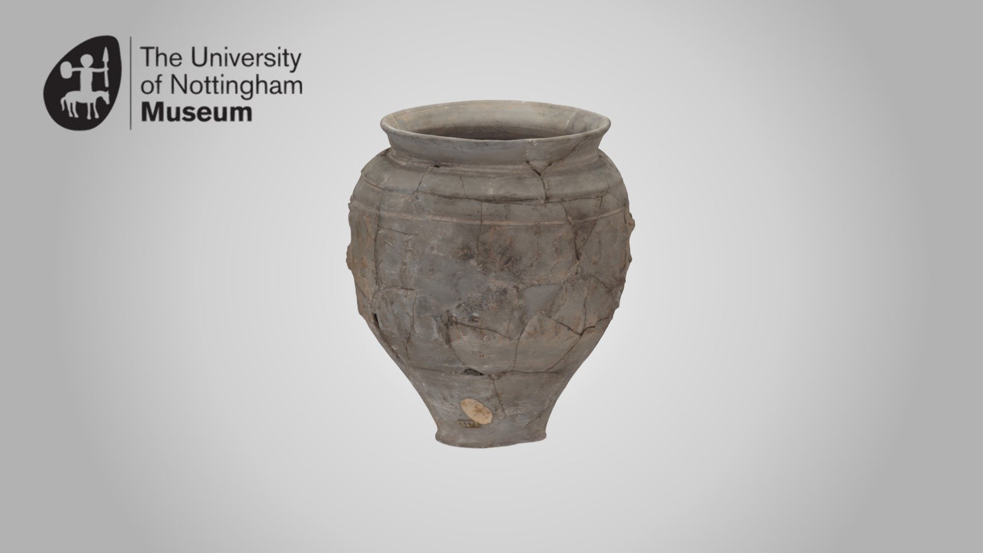 Roman Jar, rusticated decoration - 3D model by Digital Transformations ...