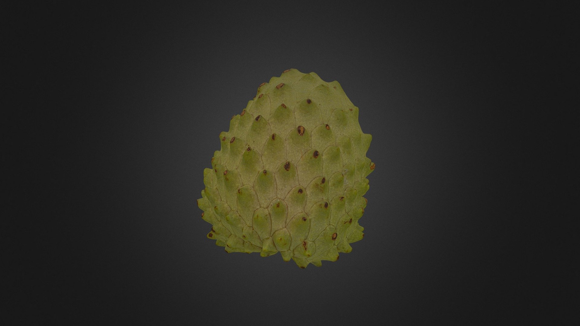 Anona - Download Free 3D model by Scan The City (@adamhavkin) [9e24279 ...