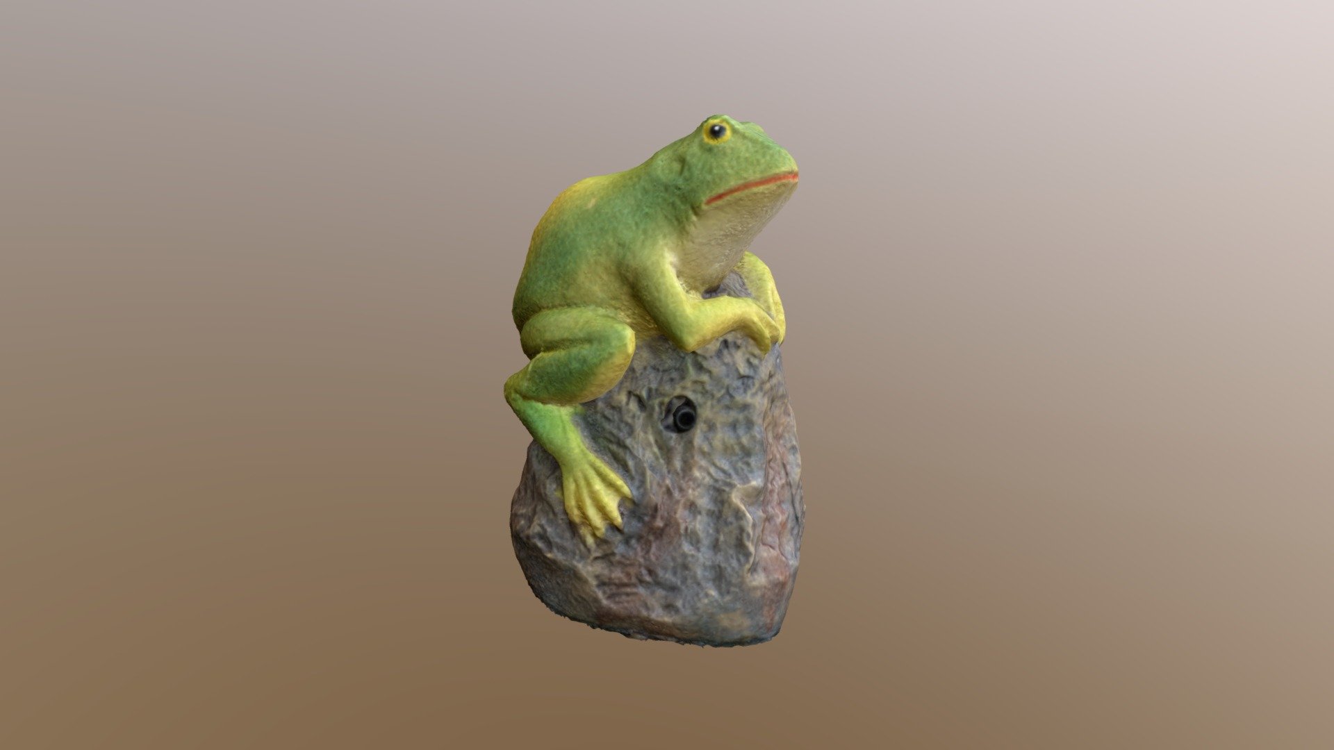 Rana_published - 3D model by verapozzi [9e26fda] - Sketchfab