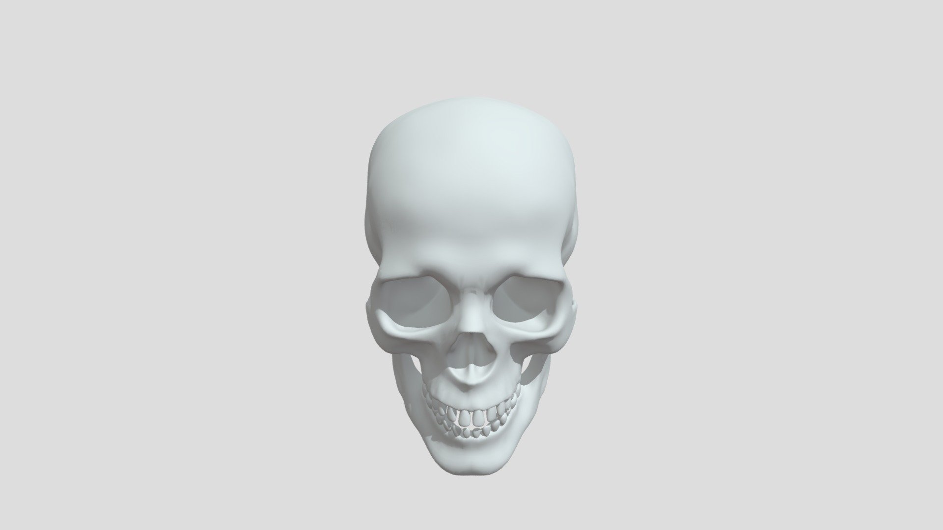 Human Realistic Skull - 3D model by V0ltSirt [9e272ce] - Sketchfab
