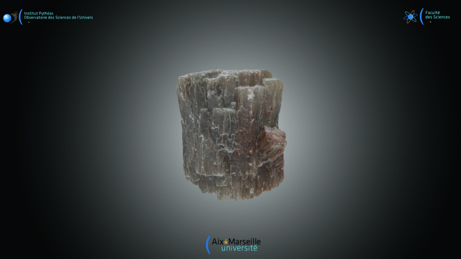 Roche - Aragonite - Download Free 3D model by Secteur Sciences et ...