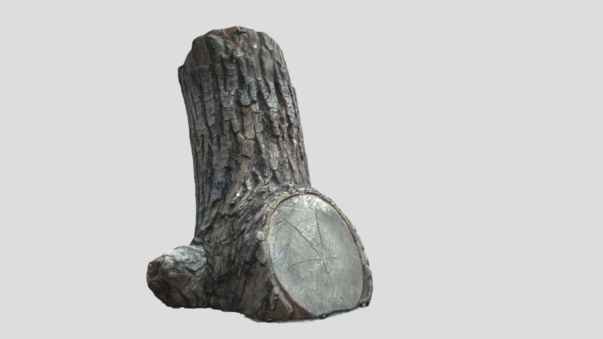 Tree Trunk - 3D Scanned - 3D model by 3DRealm (@3drealm.aaronbearce ...