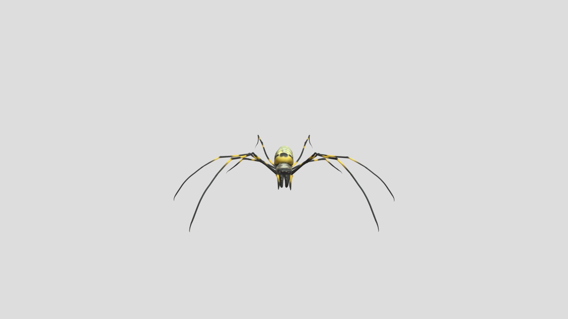 Jorō Spider - 3D model by Noah Smith (@noahsmithillustrations) [9e392aa ...