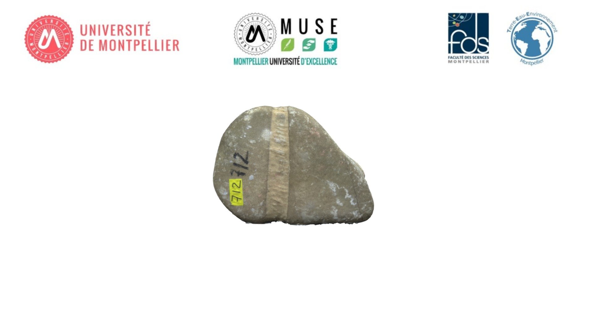 TectoUM - 712 - 3D model by Université Montpellier - Géosciences ...