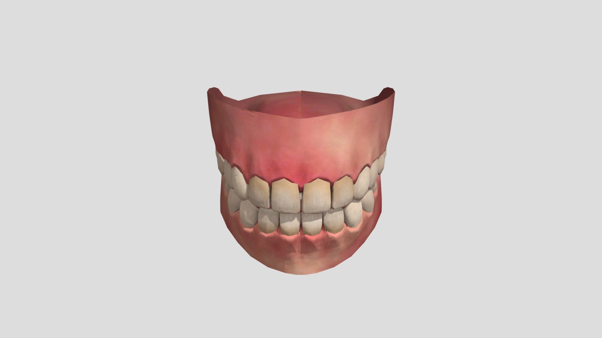 Teeth - 3D model by aeddychau [9e39544] - Sketchfab