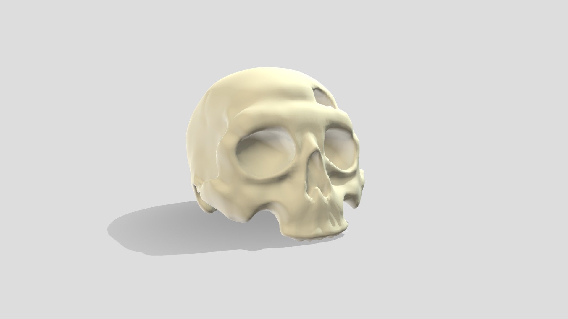 ON_Module2_Skull - 3D model by on_ES [9e39925] - Sketchfab