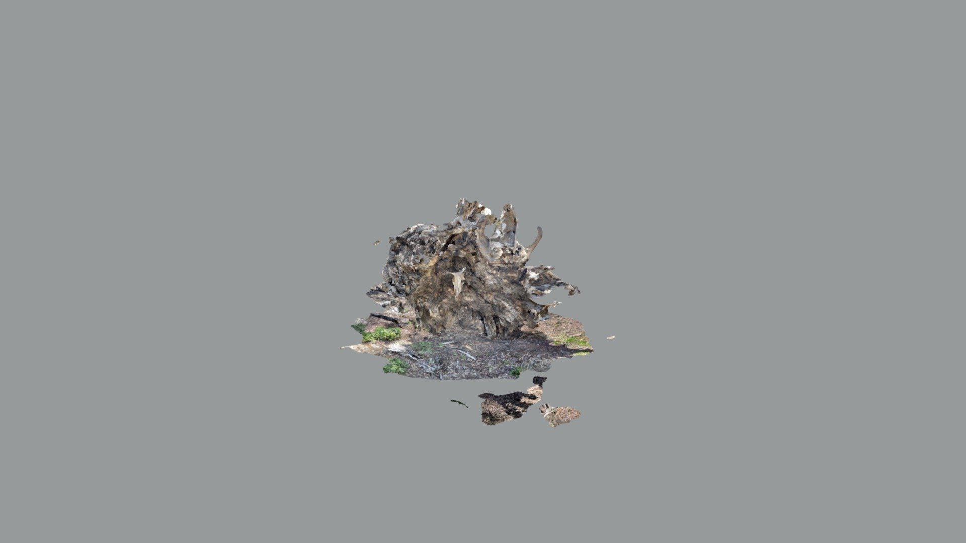 Skull stump - Download Free 3D model by feelab [9e41f55] - Sketchfab