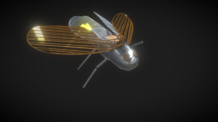 Firefly 3D models - Sketchfab