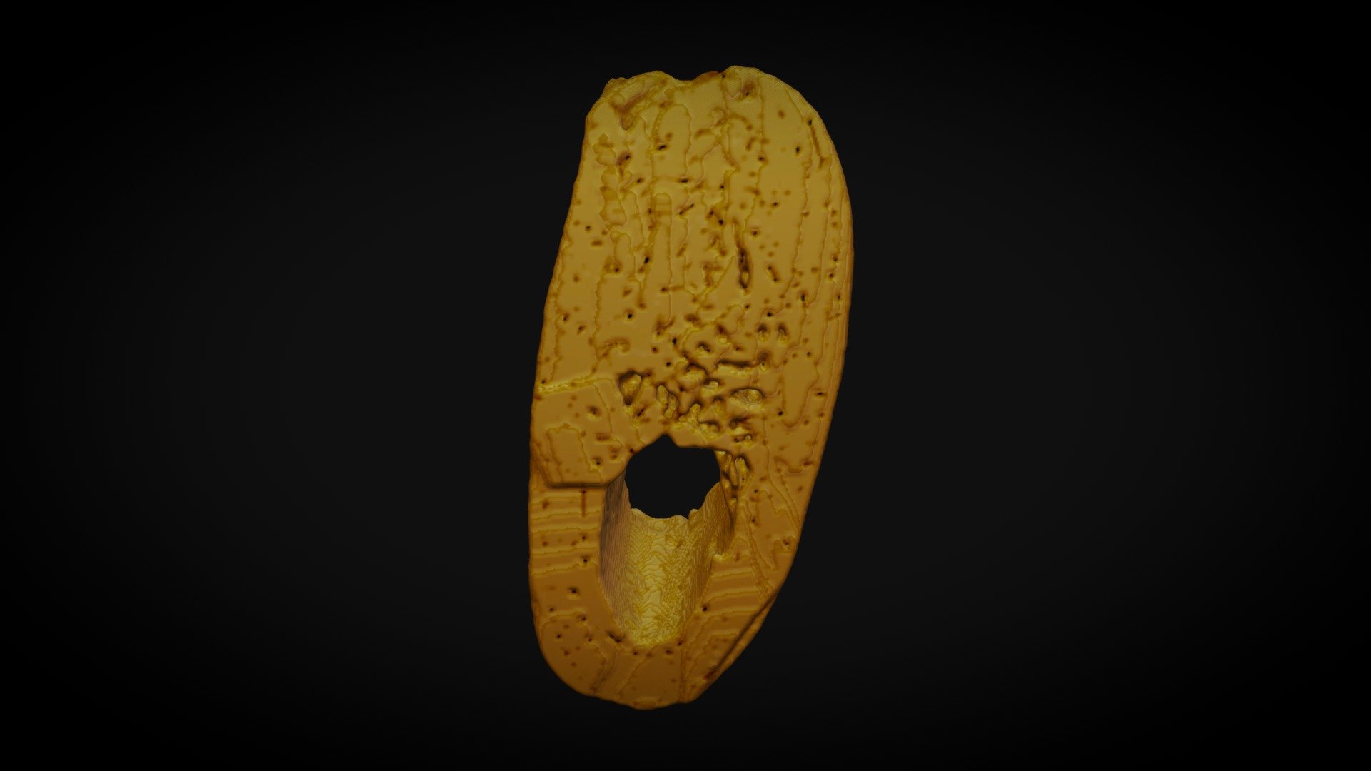 Piece of Bone Tissue - 3D model by LMPT [9e43602] - Sketchfab