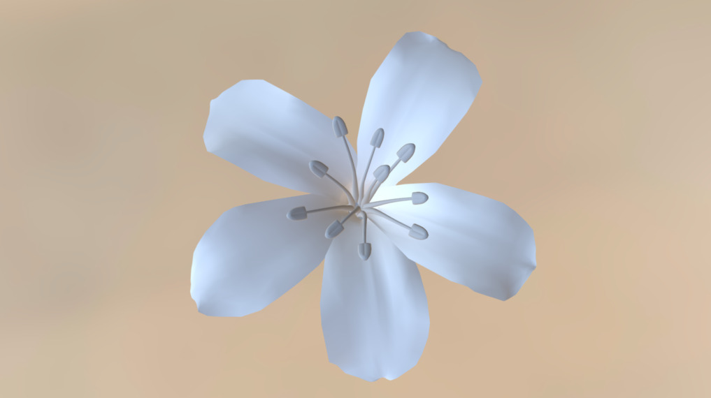 flowerFull_02_retake01 - 3D model by charliessos [9e4aaa2] - Sketchfab