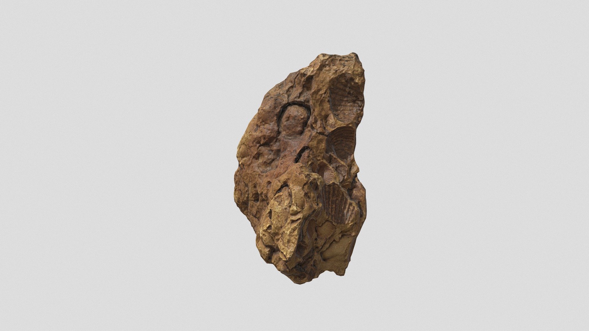 a stone with fossils - Buy Royalty Free 3D model by Mantas Talmantas ...