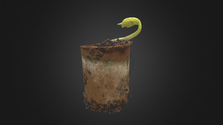 Germination 3D models - Sketchfab