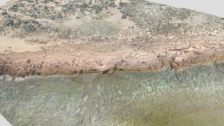 Sea-level 3D models - Sketchfab