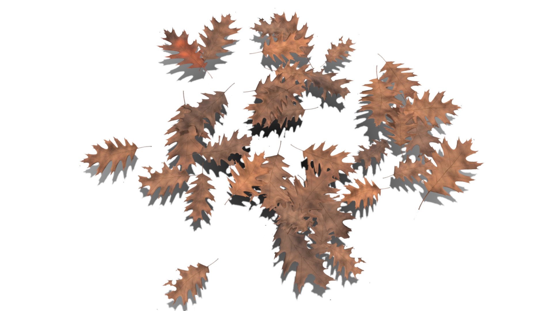 Realistic HD Red oak leaf litter (30/36) - Download Free 3D model by ...