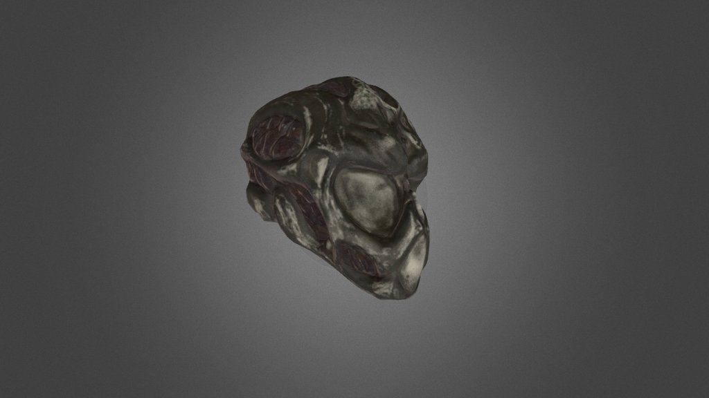 Alien Skull - 3D model by Jussi Korhonen (@WienerMug) [9e52705] - Sketchfab