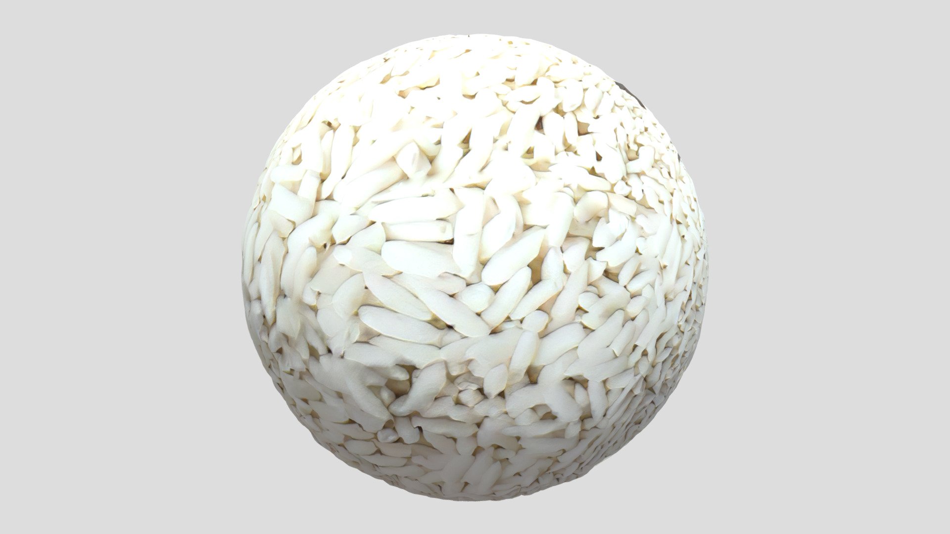 Rice01 - Download Free 3D model by Publicdomaintextures [9e52def ...