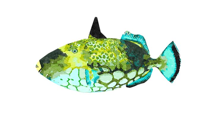 Seaworld 3D models - Sketchfab