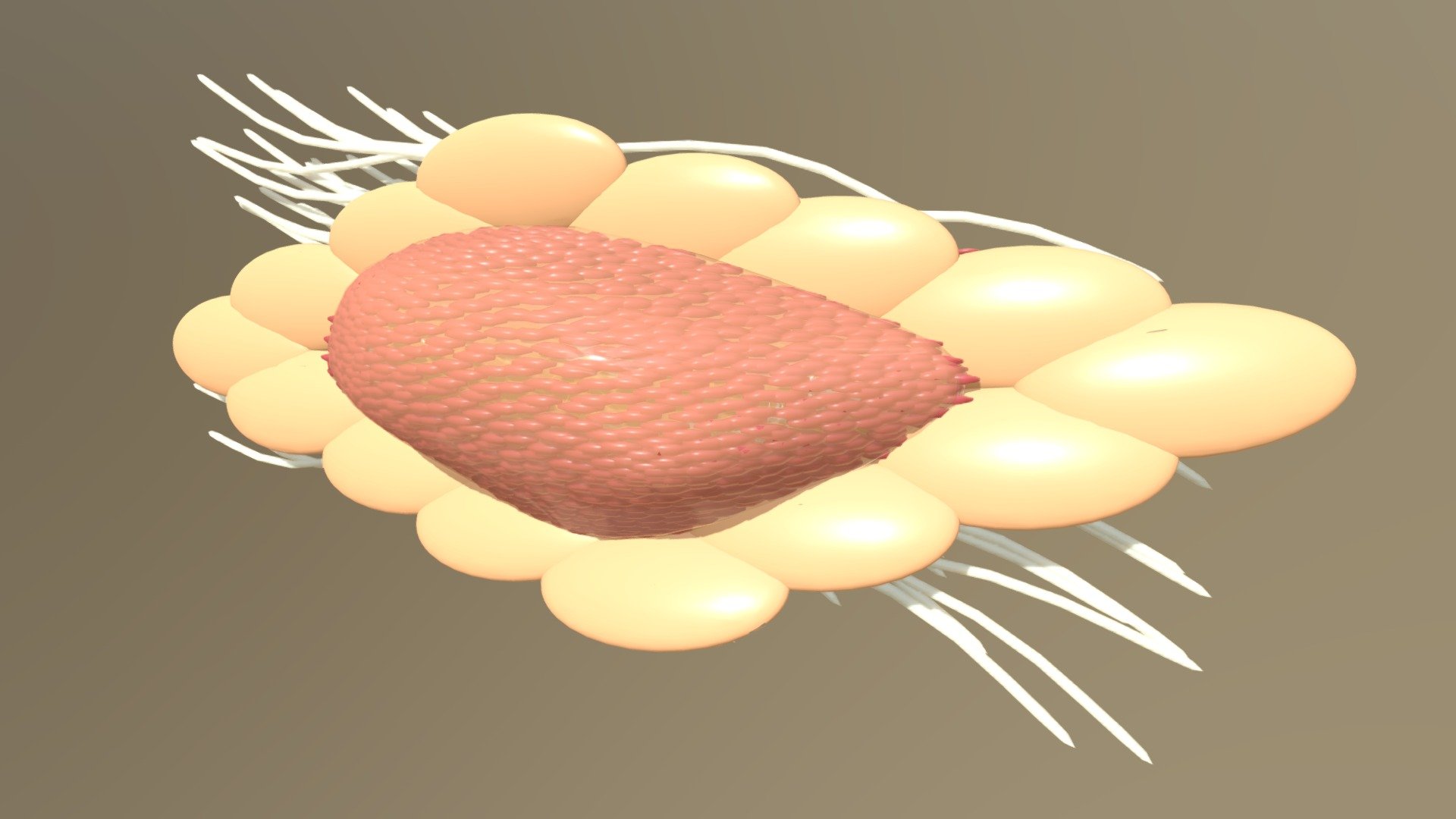 Ateroma - 3D model by bioilustra [9e5d203] - Sketchfab