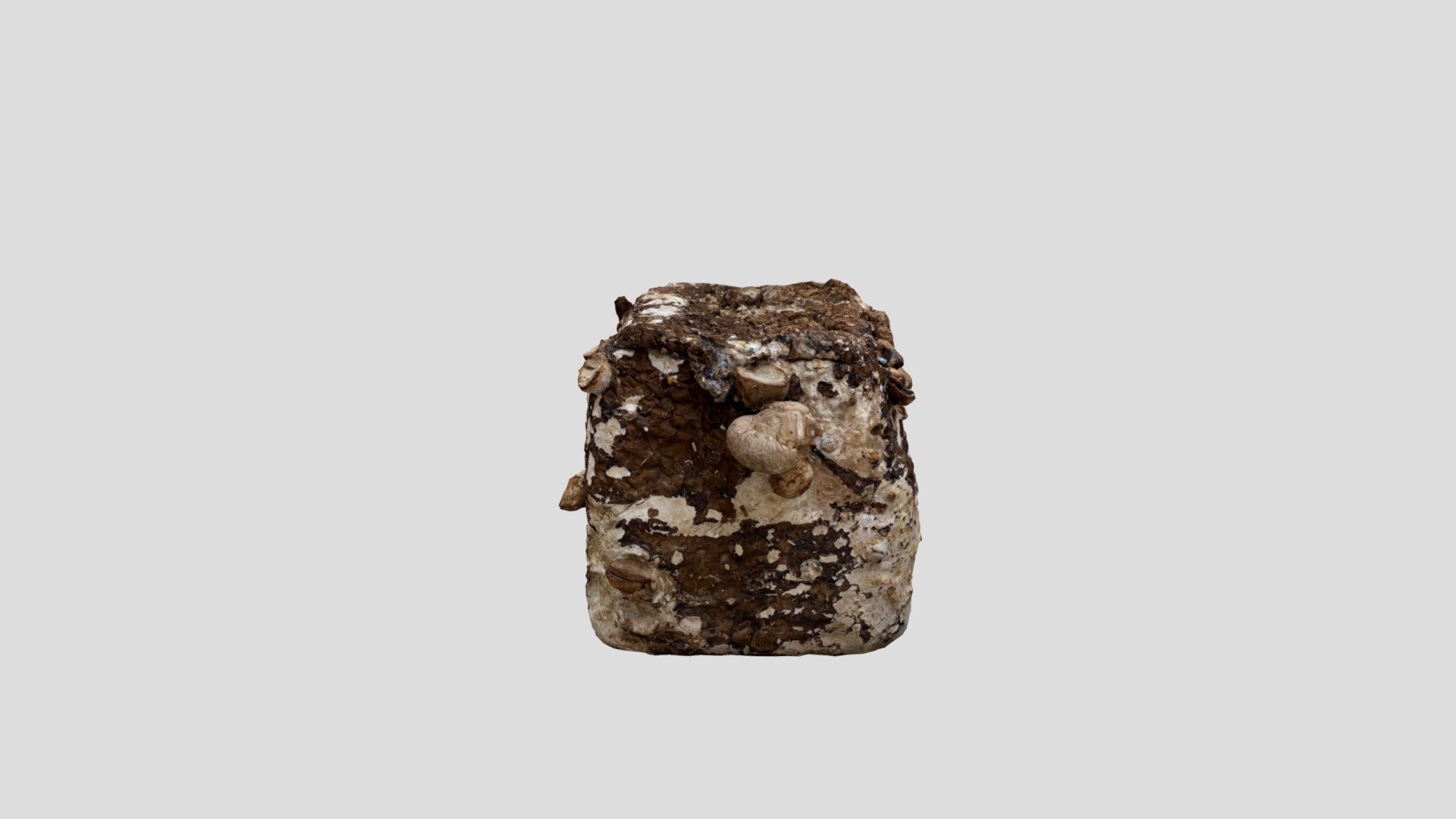 Bygaard block 2 - Download Free 3D model by Sophie.Bygballe.Mikkelsen ...