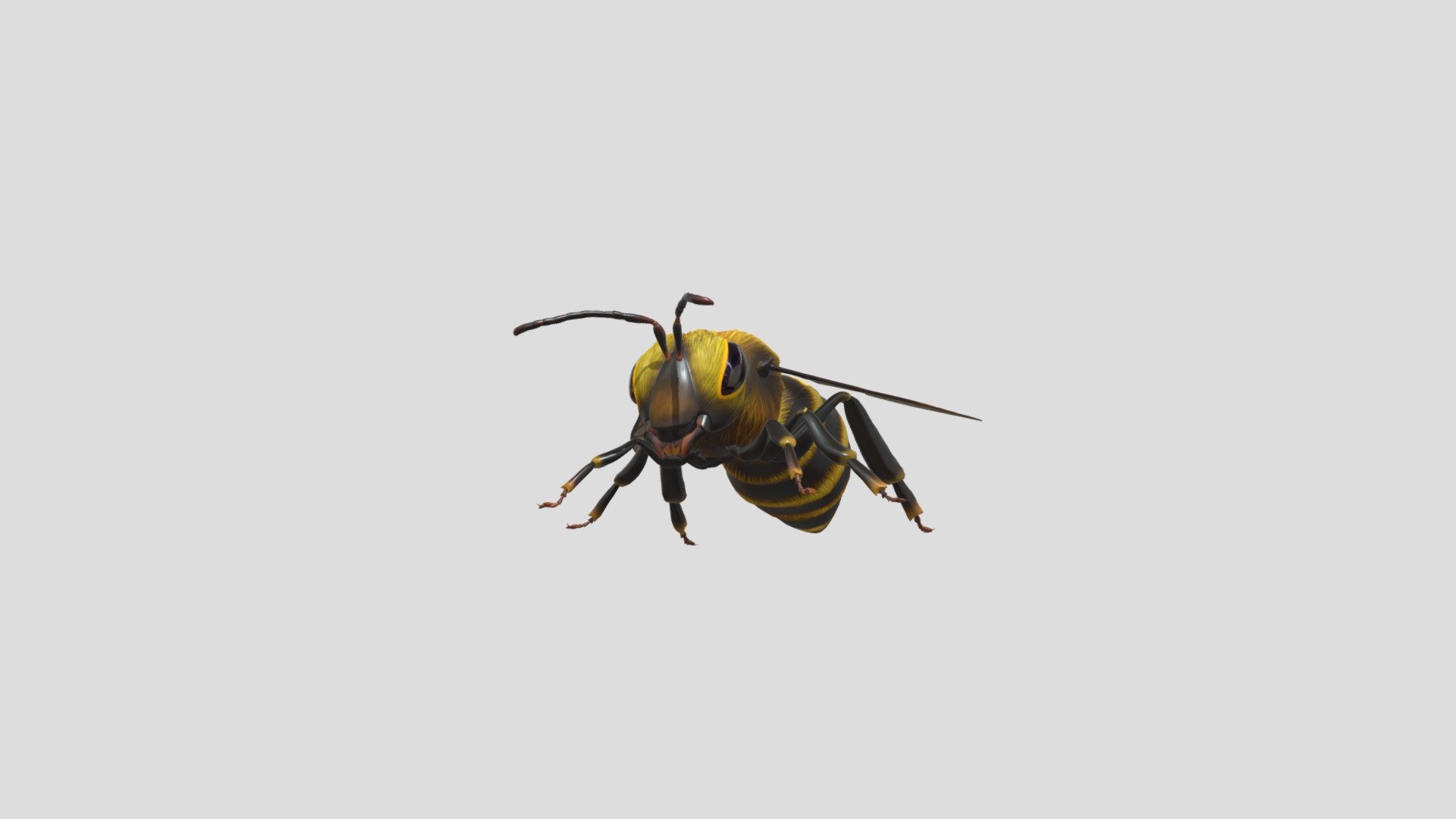 Bee - 3D model by rani140387 [9e66676] - Sketchfab