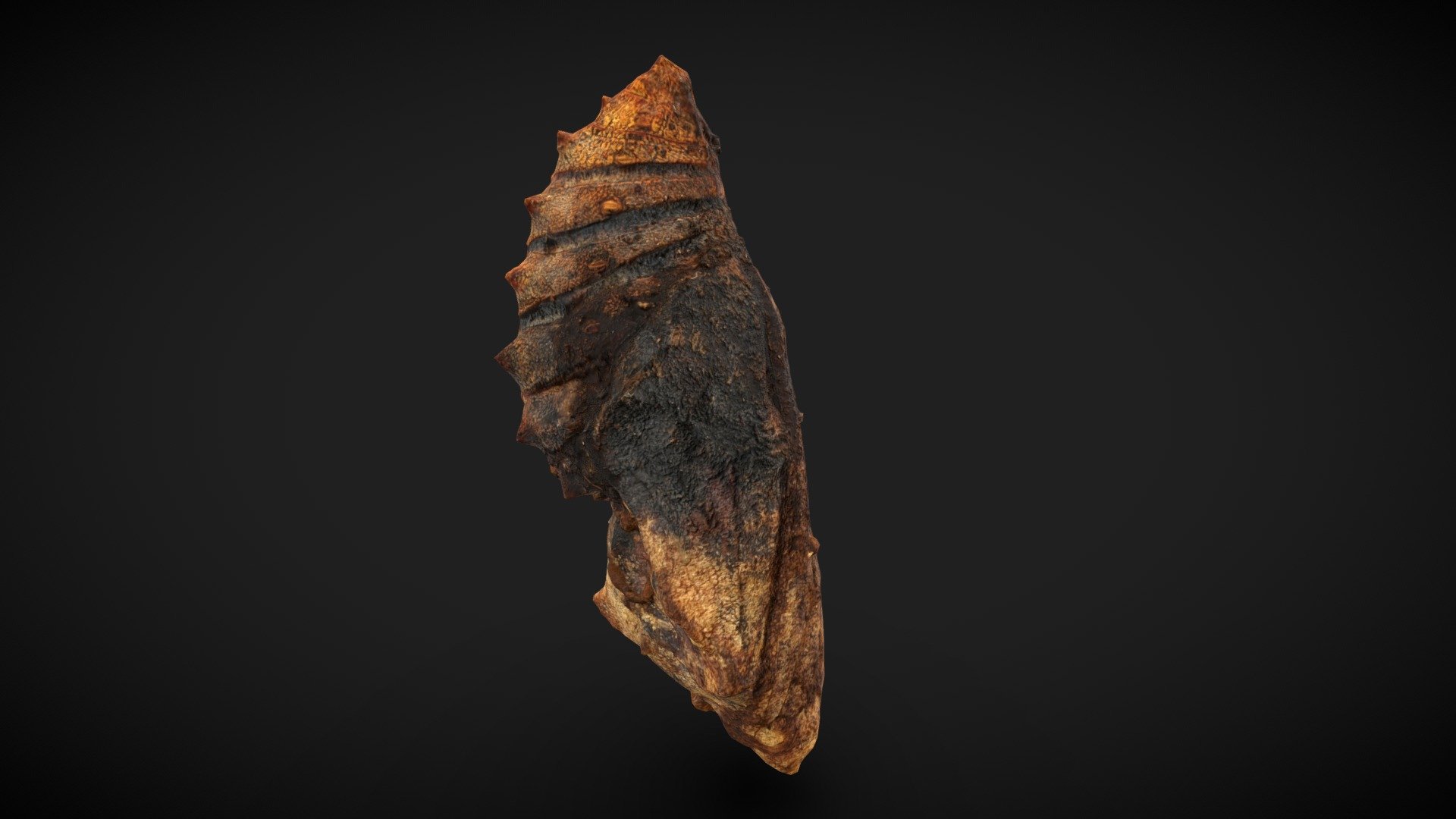 Chrysalis - Buy Royalty Free 3D model by Zacxophone [9e666e5 ...