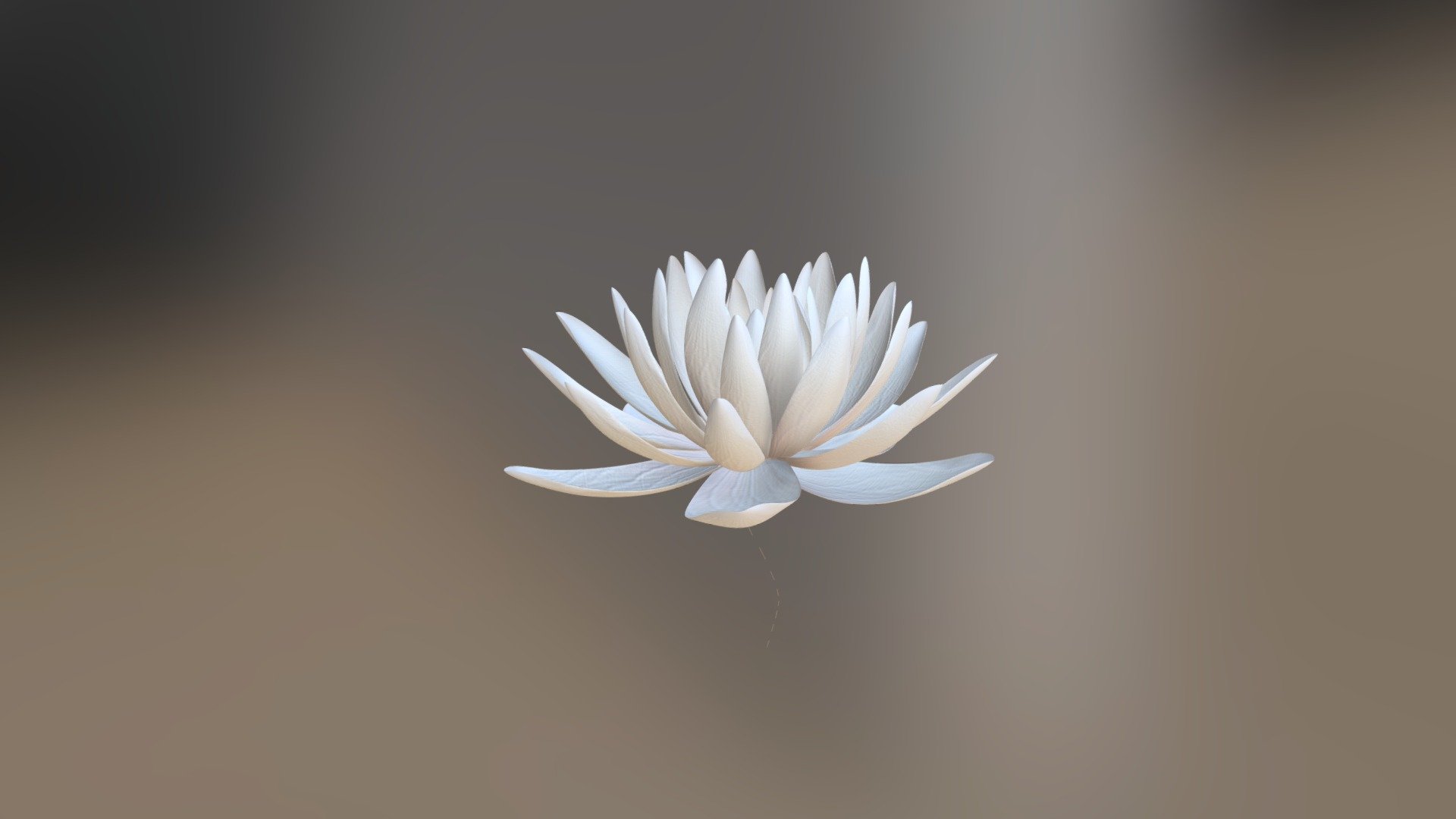Lotus Flower - 3D model by Aamir Shah (@aamirshah) [9e73215] - Sketchfab