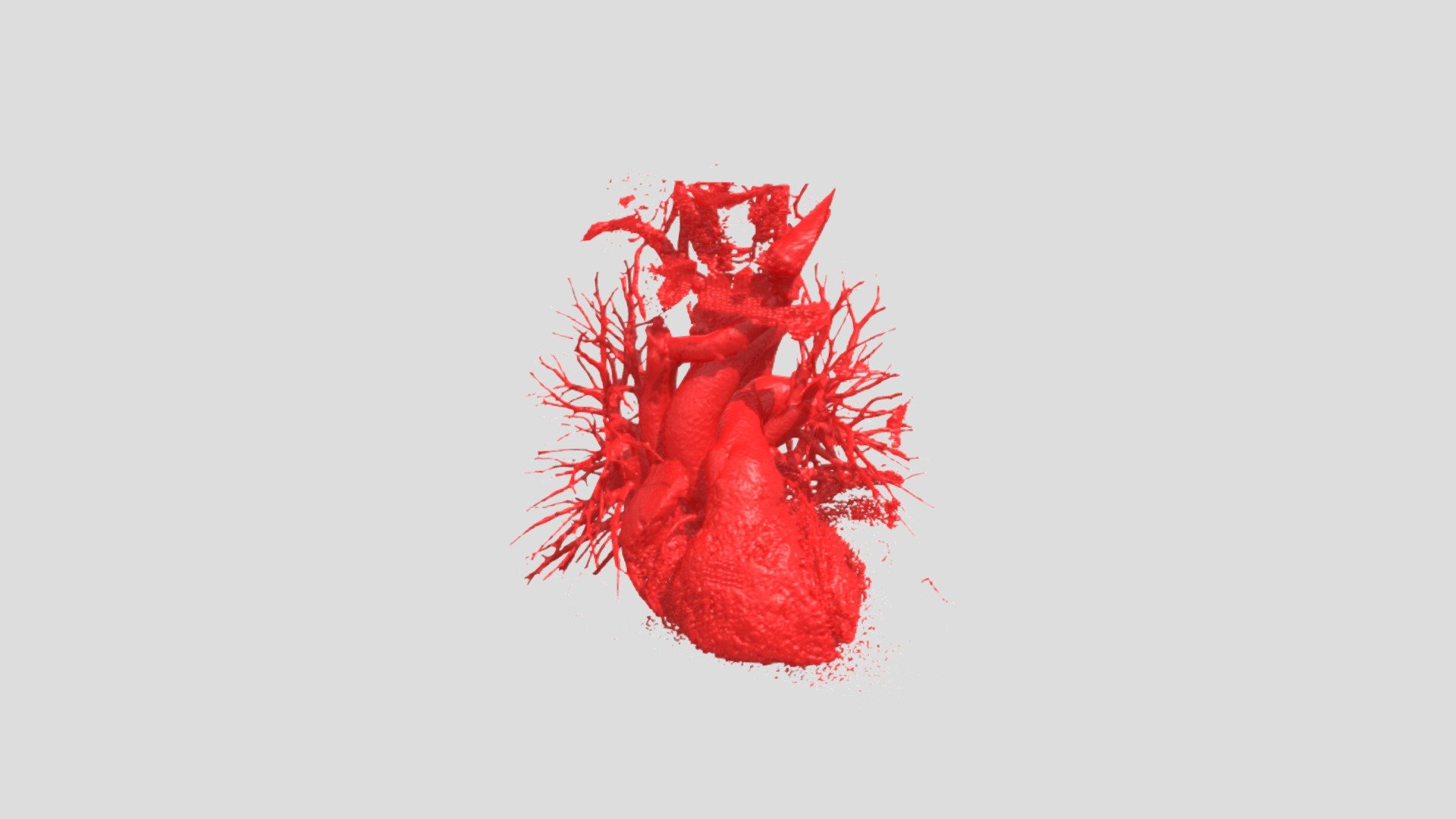 Heart - Download Free 3D model by prajjawalit [9e75da8] - Sketchfab