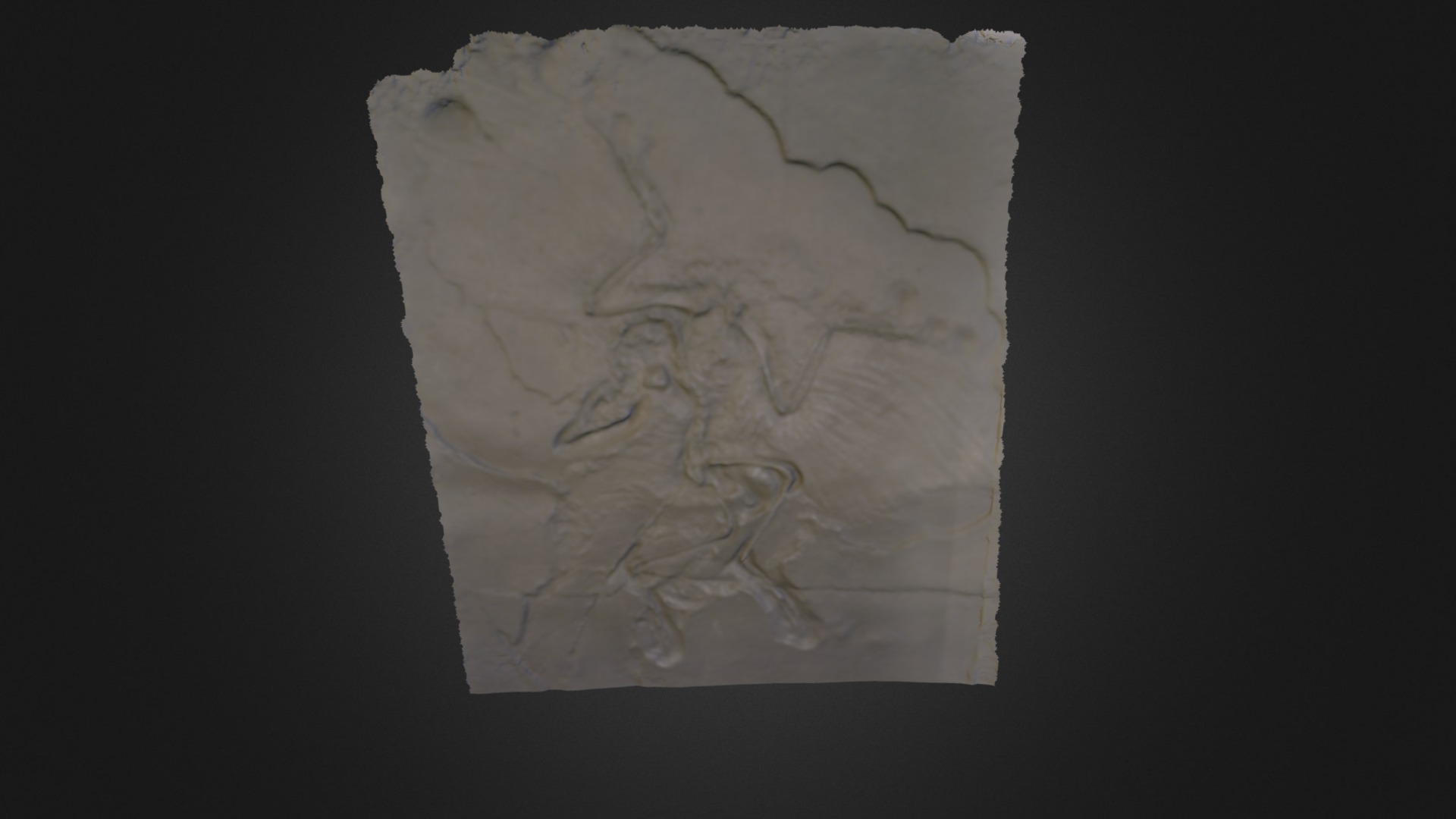 Archaeopteryx - 3D model by ScanmasterFlash [9e7a9f4] - Sketchfab