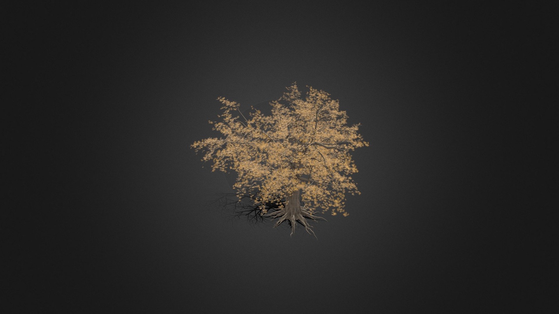 Stylized Tree 1 - Download Free 3D model by youthcloud.id [9e7d739 ...
