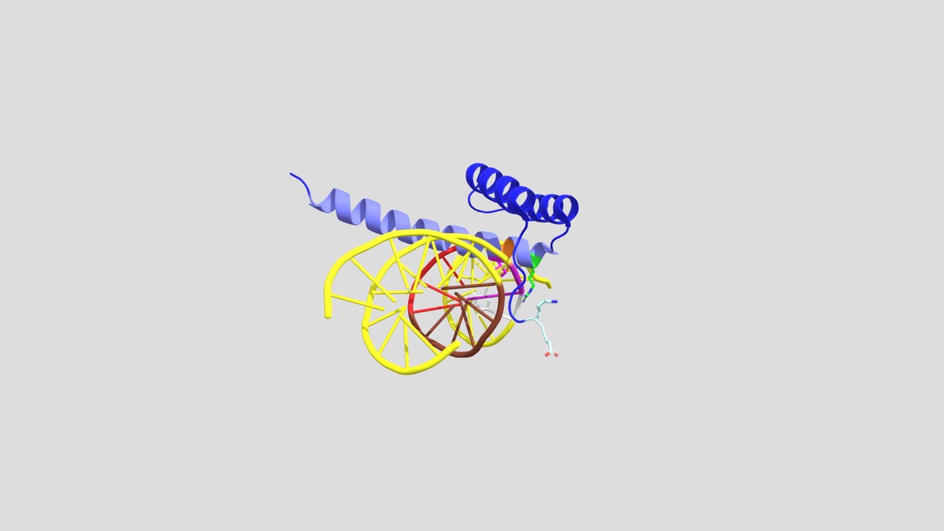 Homeodomain Protein CDX2 - 3D model by haydencurtis [9e81941] - Sketchfab