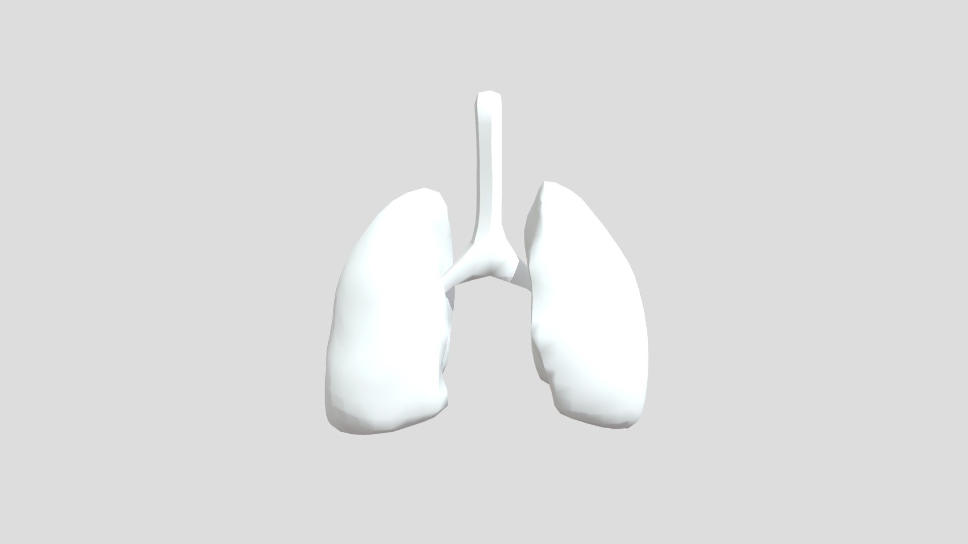 uploads_files_2015339_Human_Lung_Low_Poly - 3D model by bsaikumar43 ...