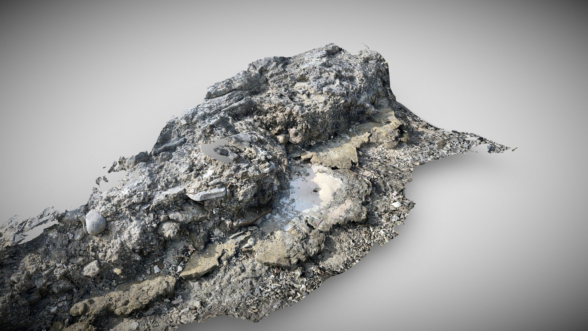 carottage corail - Download Free 3D model by JFleury [9e92ef4] - Sketchfab