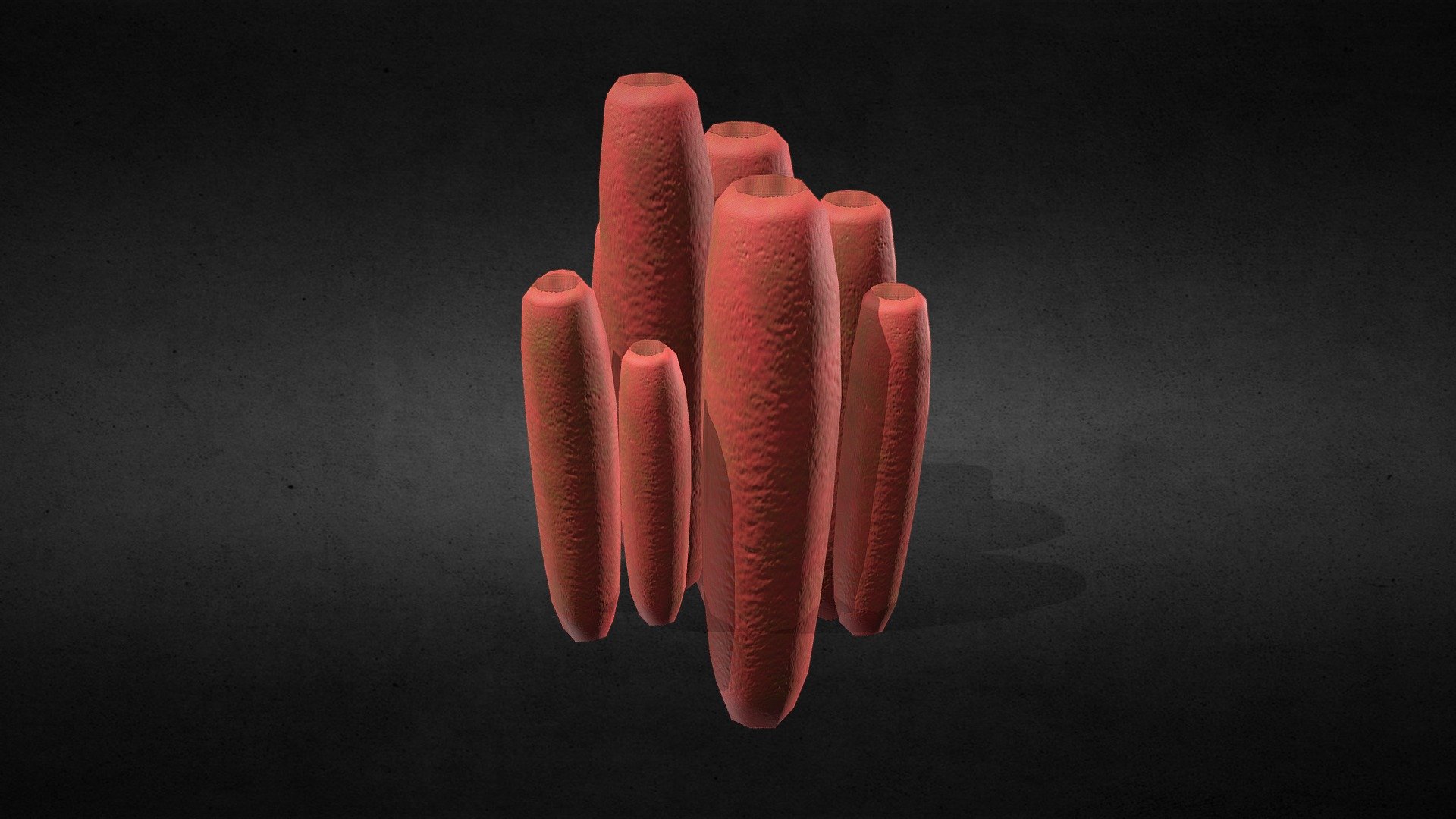 Tube Coral(Preview) - 3D model by Dinobros2000 [9e98751] - Sketchfab