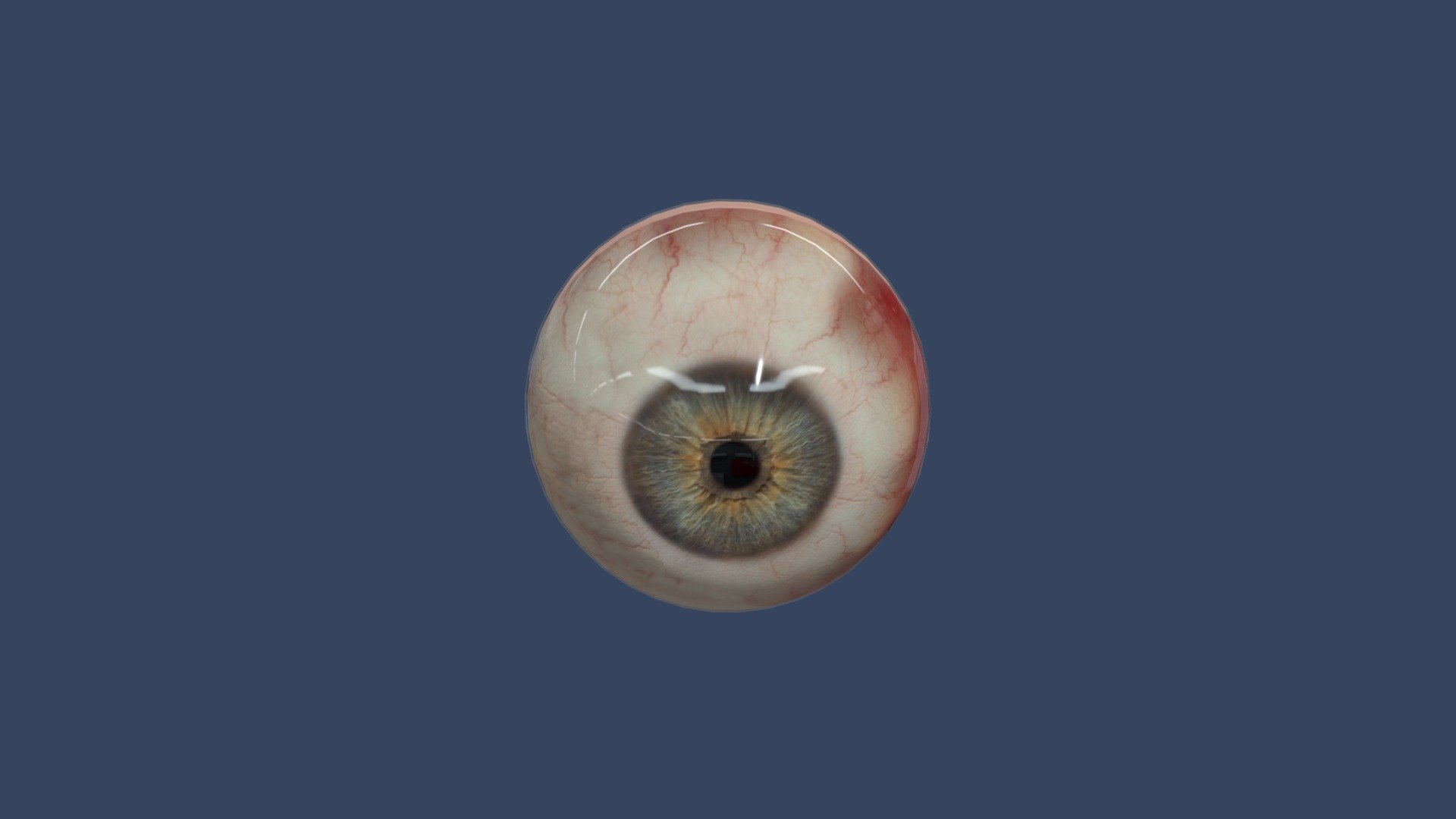 Occhio - 3D model by maryflora.brescia [9e9e1c8] - Sketchfab