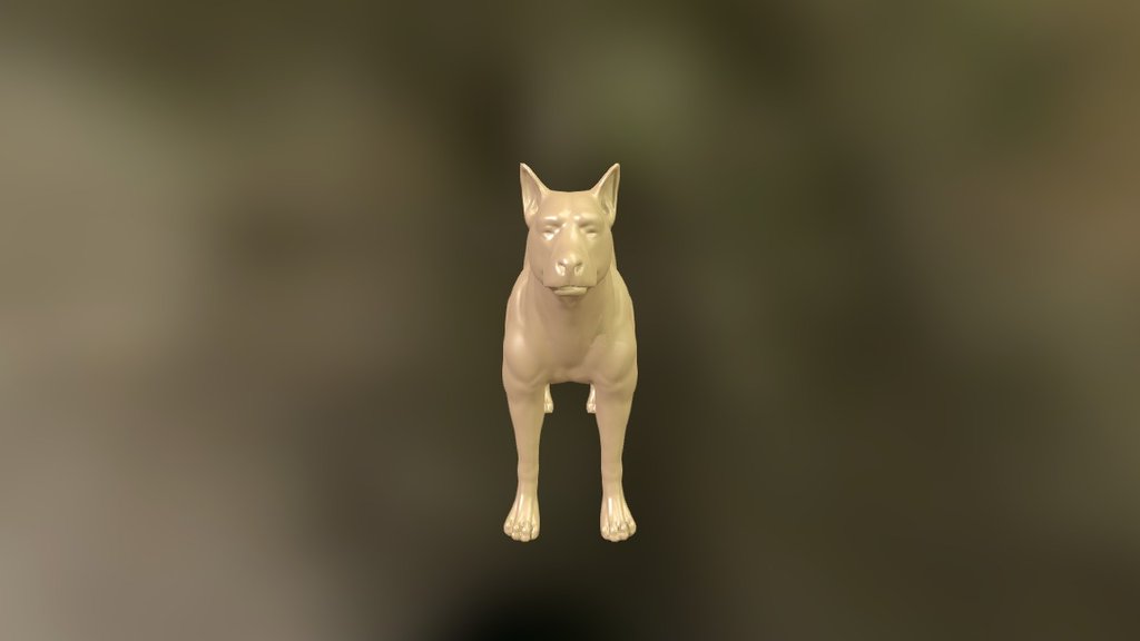 Dog_anatomy_study - 3D model by monomu [9ea7d32] - Sketchfab