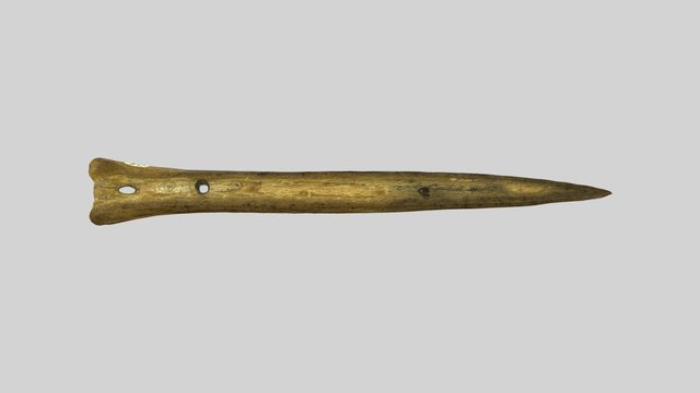 Bone-cut 3D models - Sketchfab