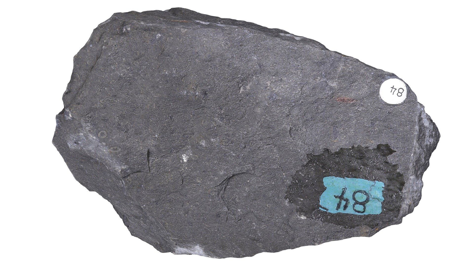 andalusite (chiastolite) slate #84 - Download Free 3D model by ...