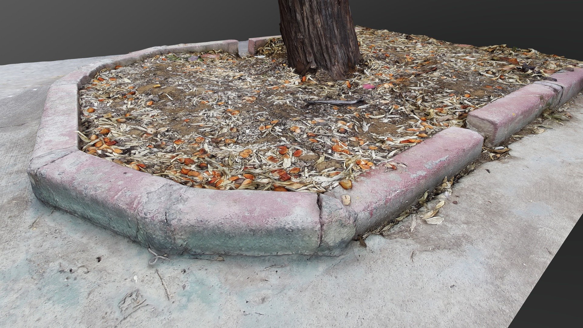 Tree bottom - 3D model by bertanbaday [9eb2770] - Sketchfab