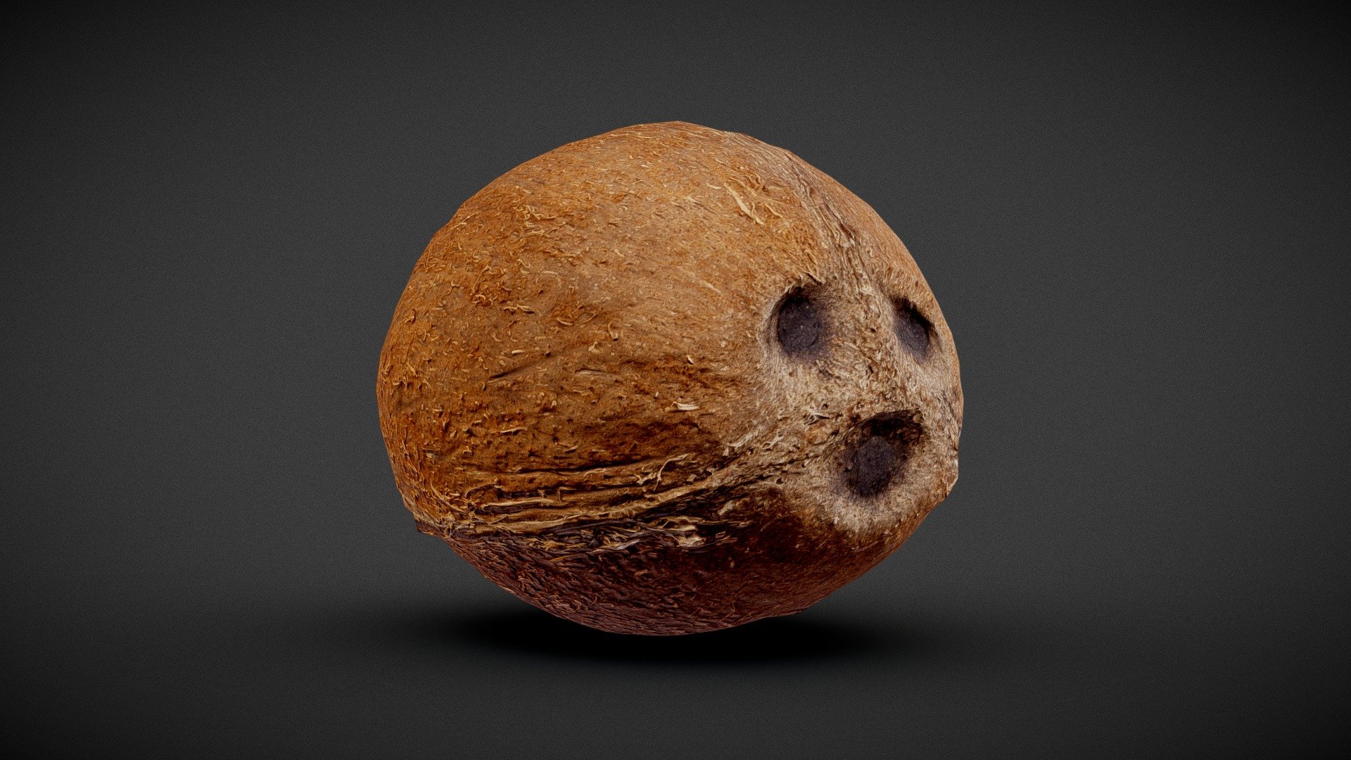 Coconut - Buy Royalty Free 3D model by Polygonal Miniatures (@Polygonal ...