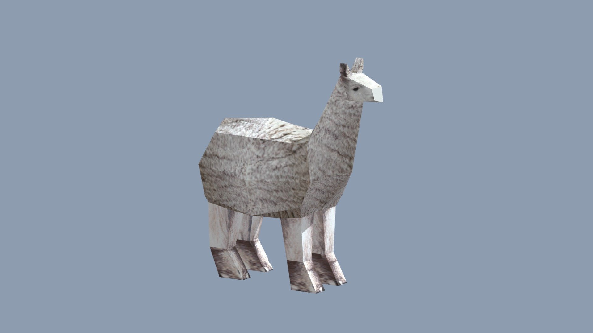 Alpaca - Download Free 3D model by U.A.C.WAD (@hilalarican23) [9ec48e0 ...