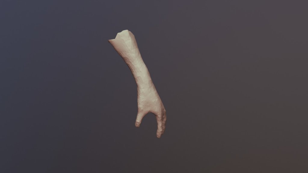 Character Hand - 3D model by ohsnapholly [9ec7f73] - Sketchfab
