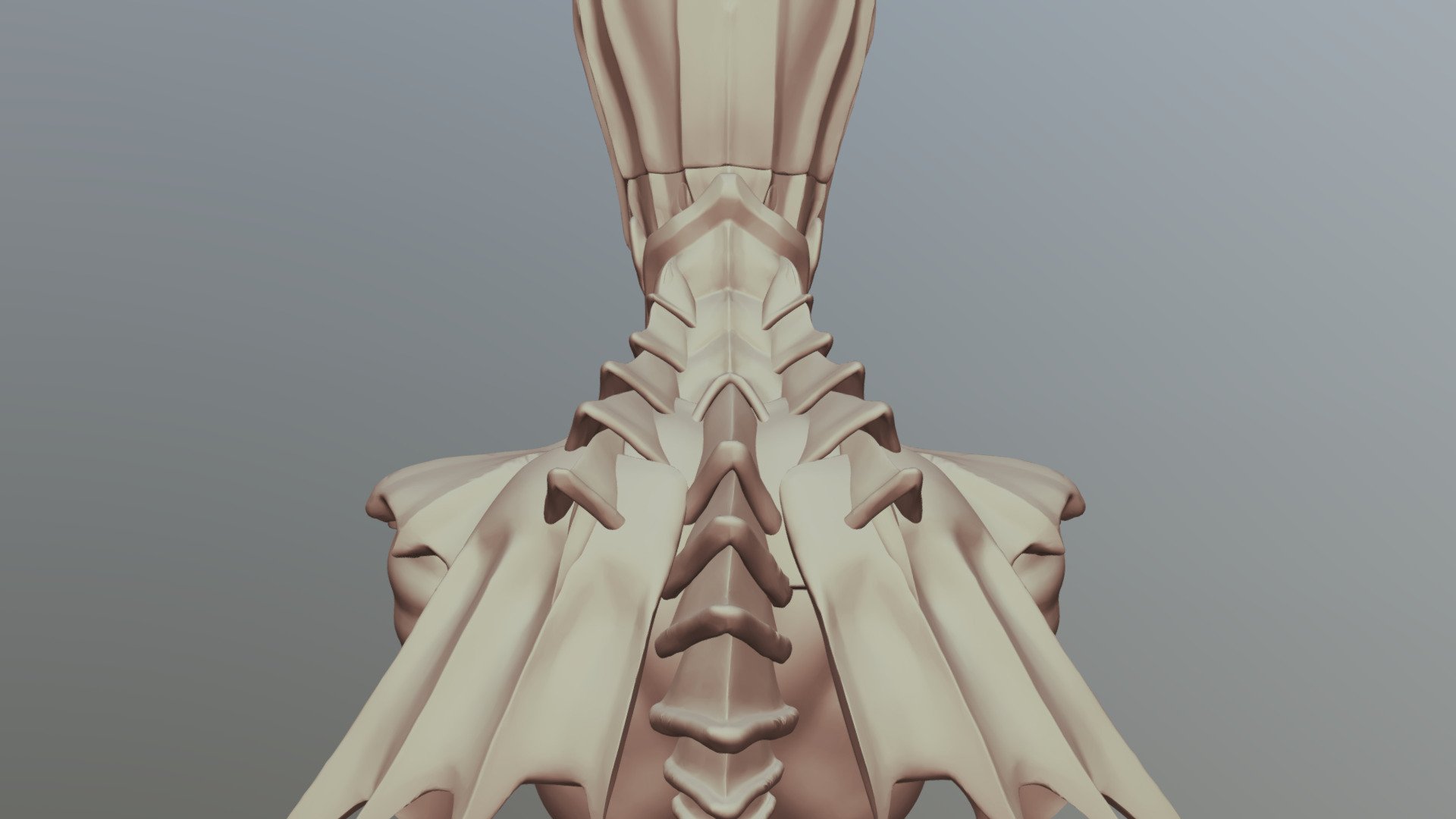 Varna Full OBJ - 3D model by jstevens_1 [9ec9d9d] - Sketchfab