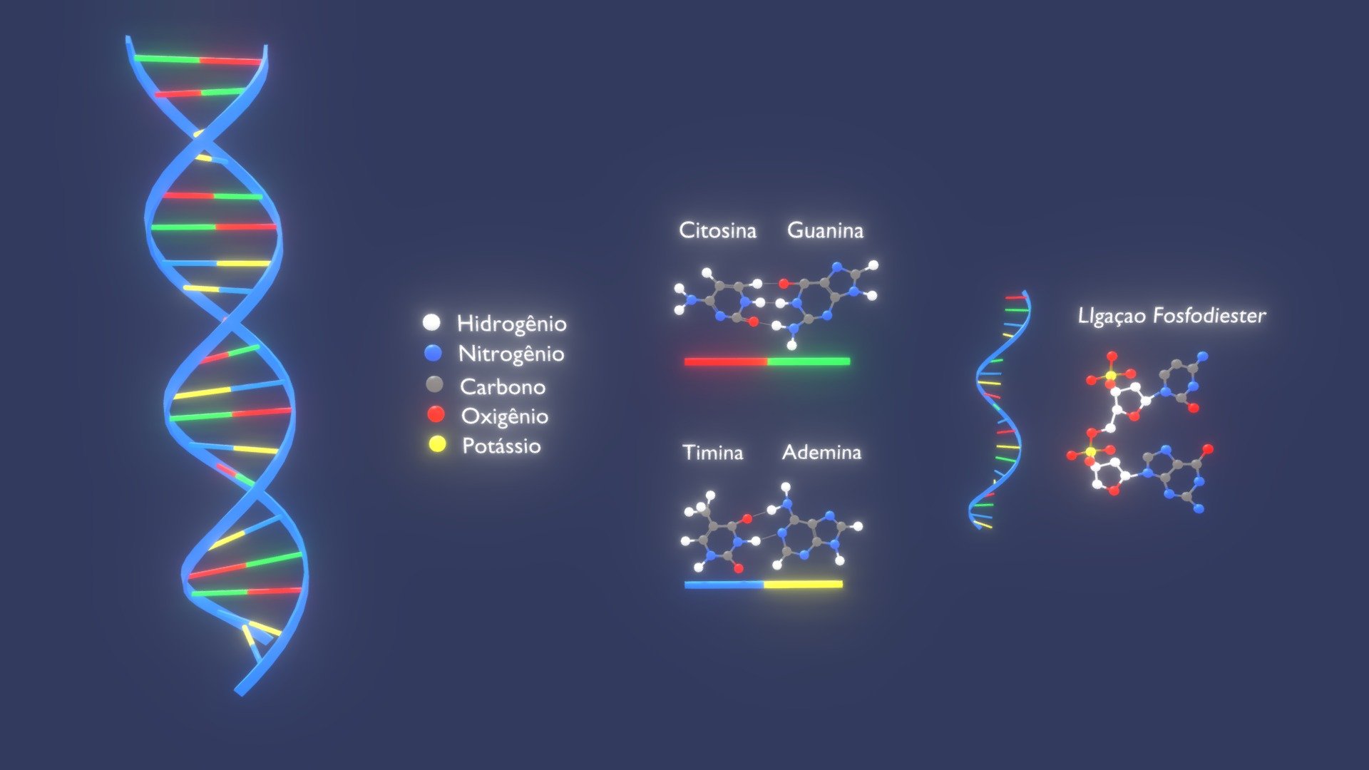 Visão Tridimensional Da Molécula De DNA (456) - 3D model by RA ...