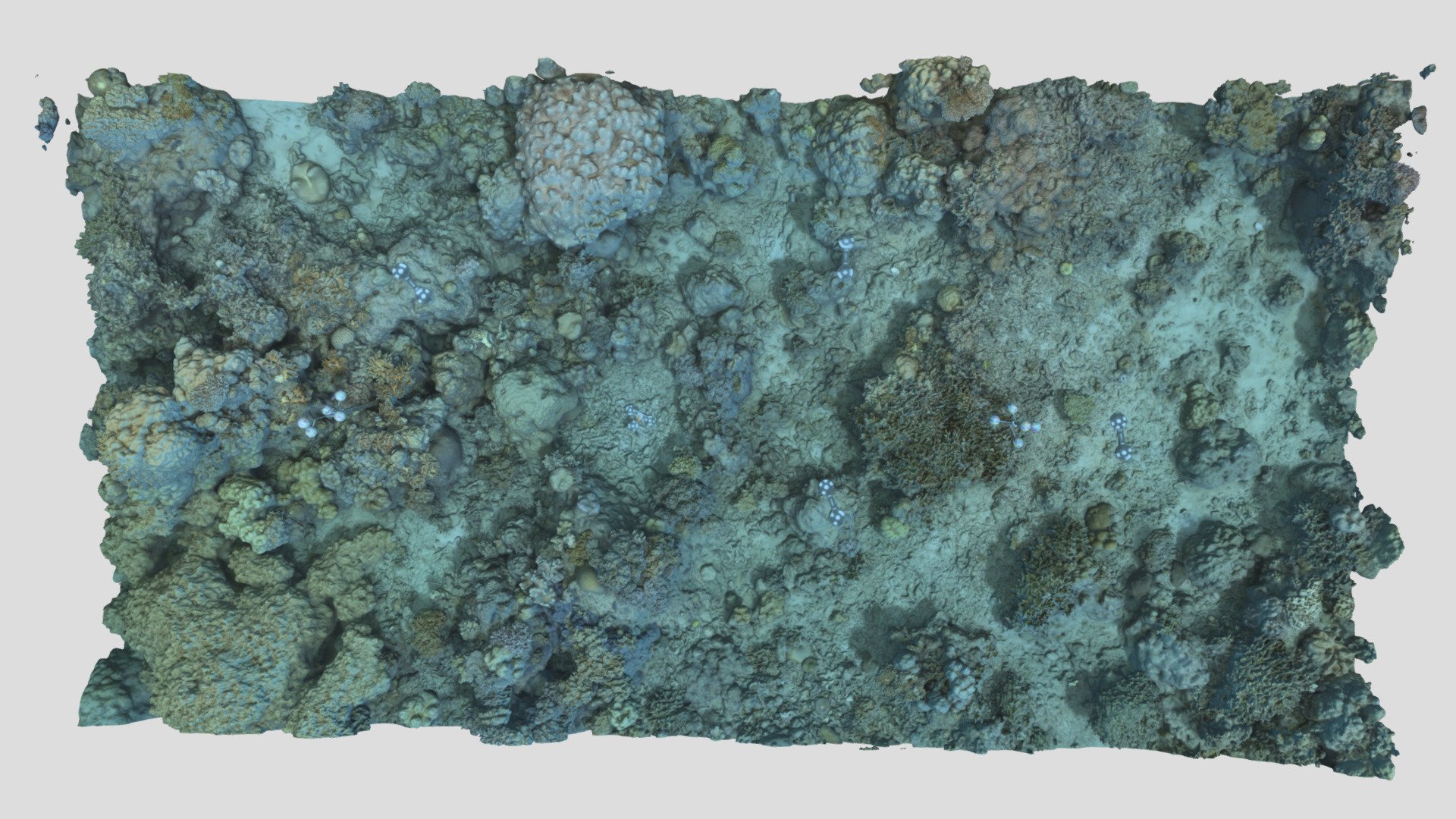 Masig_FL1S_P2_202302 - Download Free 3D model by EcoRRAP (@AIMSEcoRRAP ...