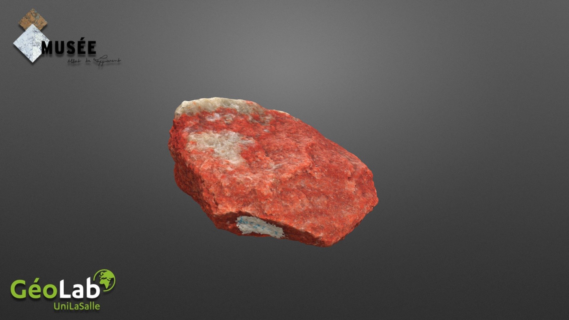 Sylvine - Download Free 3D model by APEX UniLaSalle (@apex.unilasalle ...