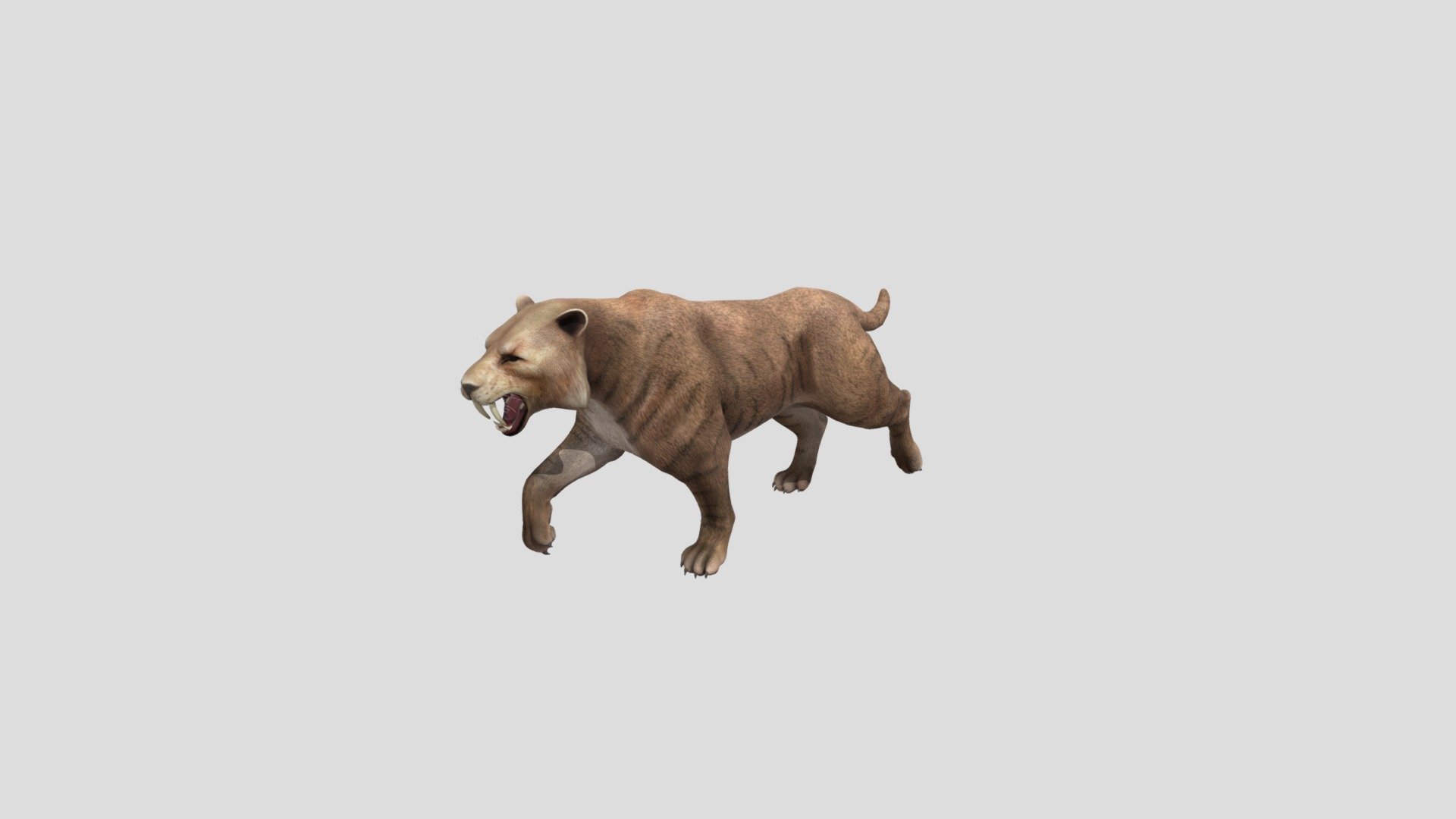 sabertooth - 3D model by fitrikinanthi [9ee2648] - Sketchfab