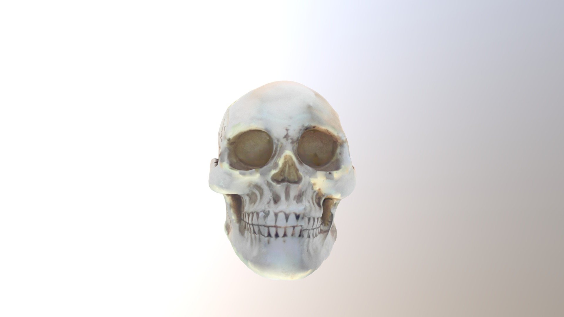 Scull - 3D model by sproutdemo [9ee6fc6] - Sketchfab